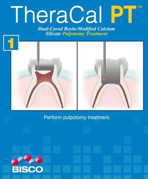 TheraCal PT® - NUDENT